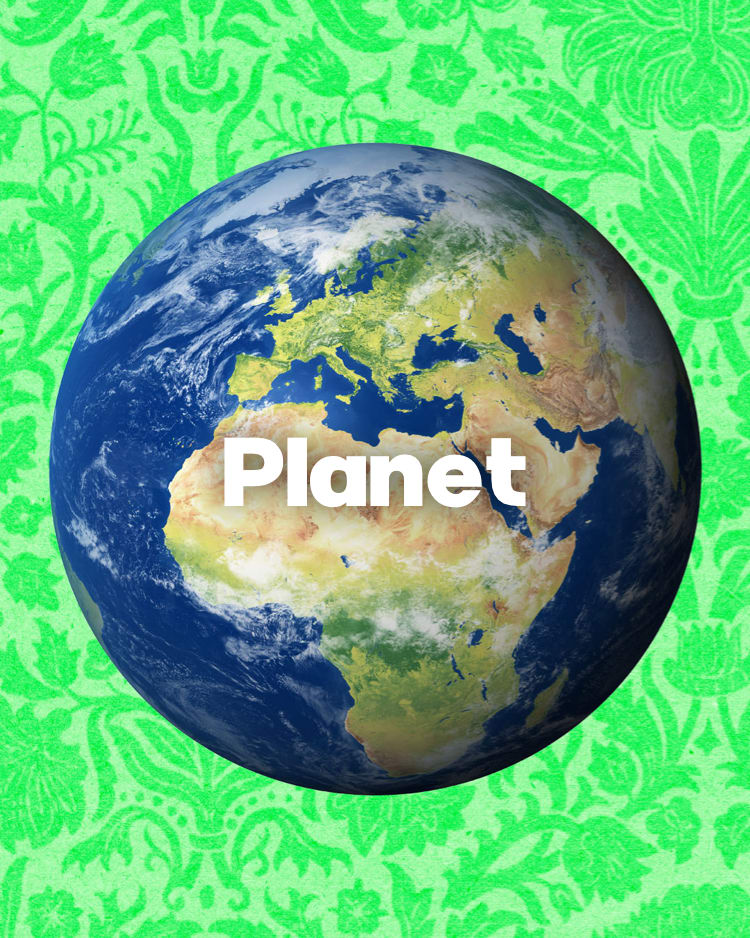 The Kind Society: Planet | River Island Edit