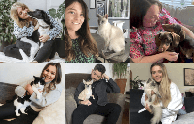 IslandersAtHome: RI’s Furry Friends | River Island Edit